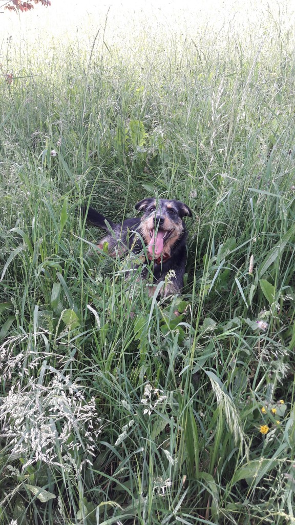 Engelbriefe by Sara Galea : Maya